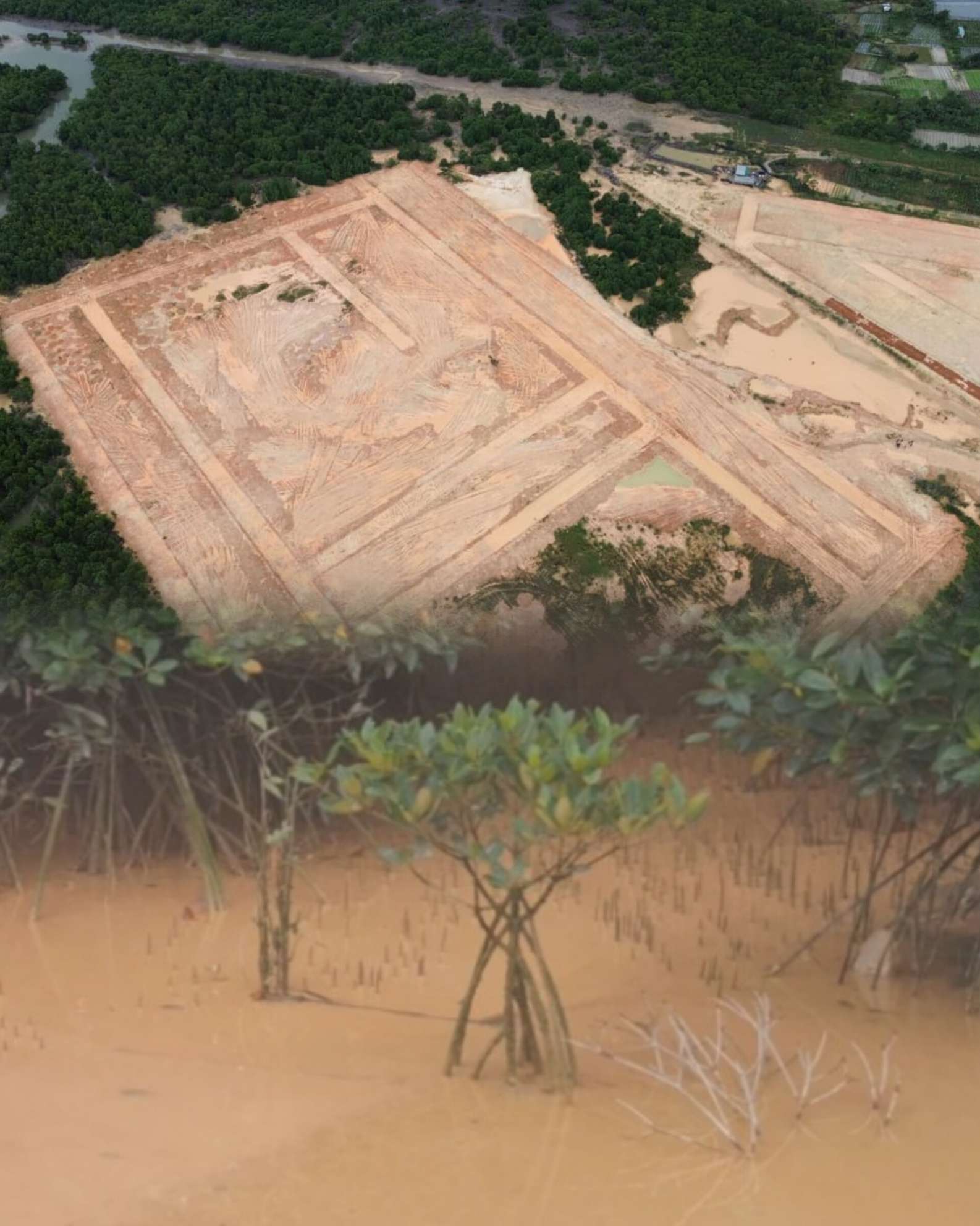 Nelayan Bulang Batam Terancam Reklamasi Perumahan, PT BPB Enggan ...